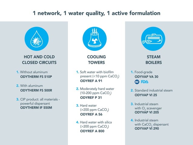 French Filming Amines General Presentation | PDF