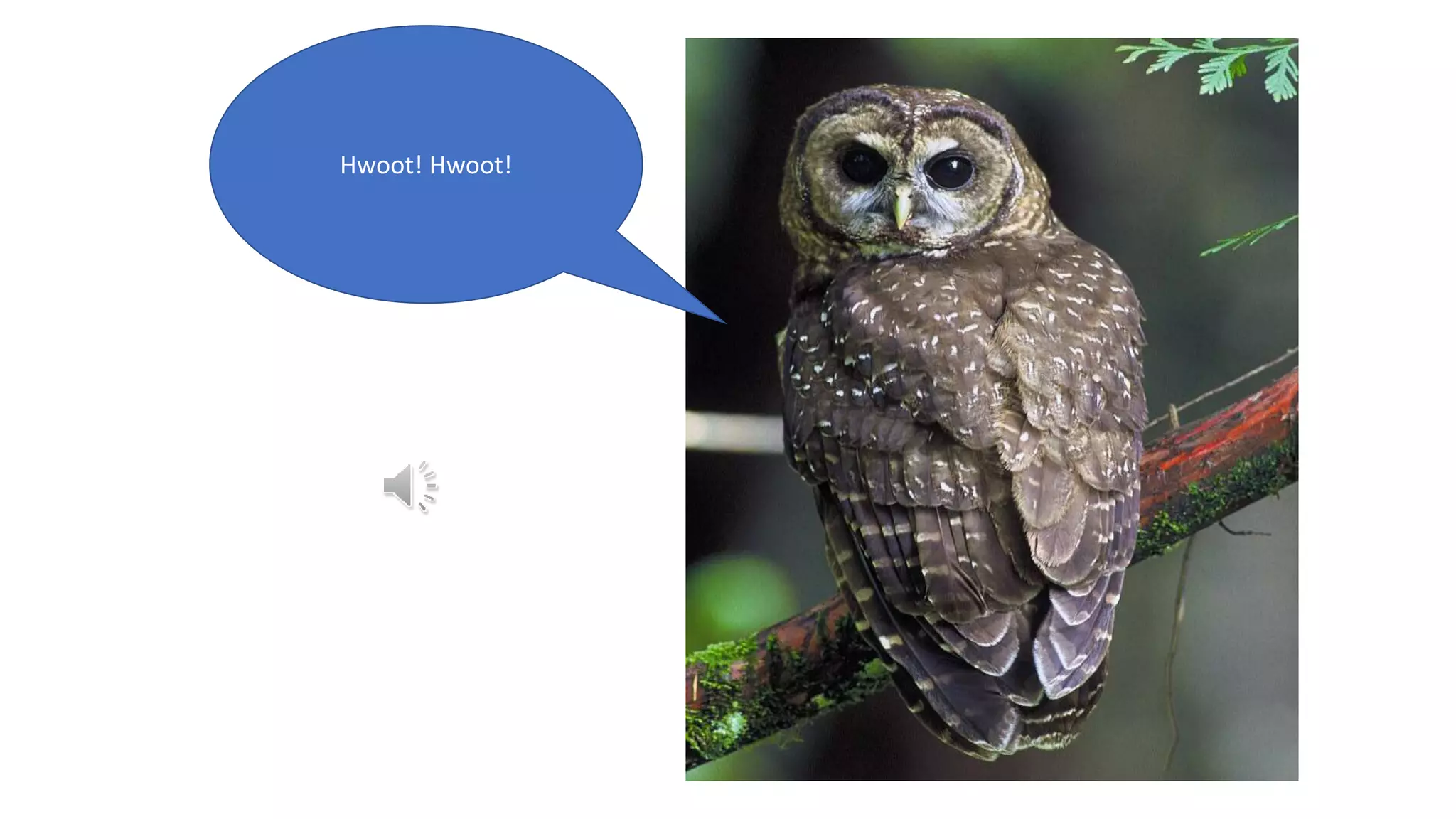 Ang Aking Mga Alaga.pptx