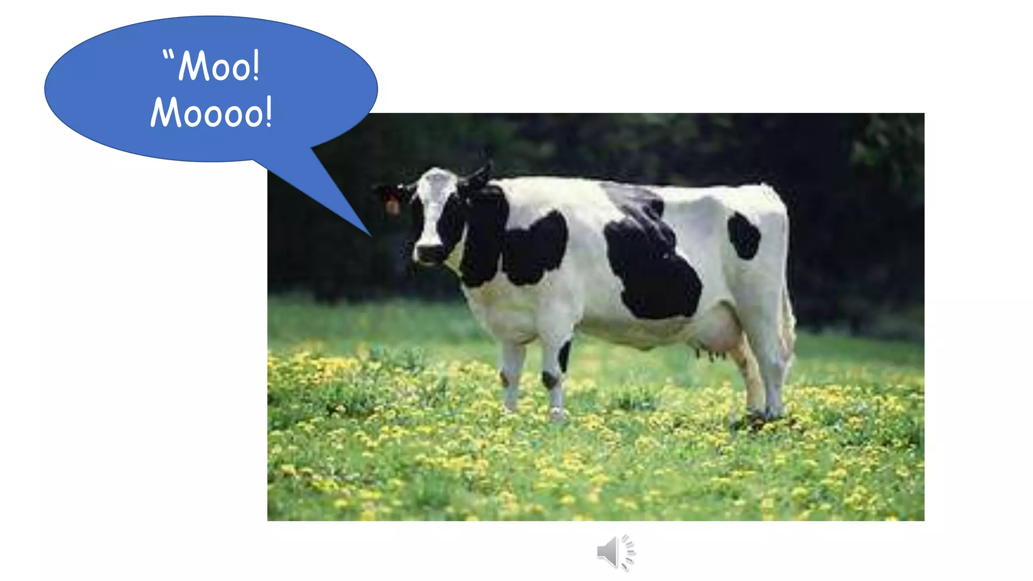 Ang Aking Mga Alaga.pptx