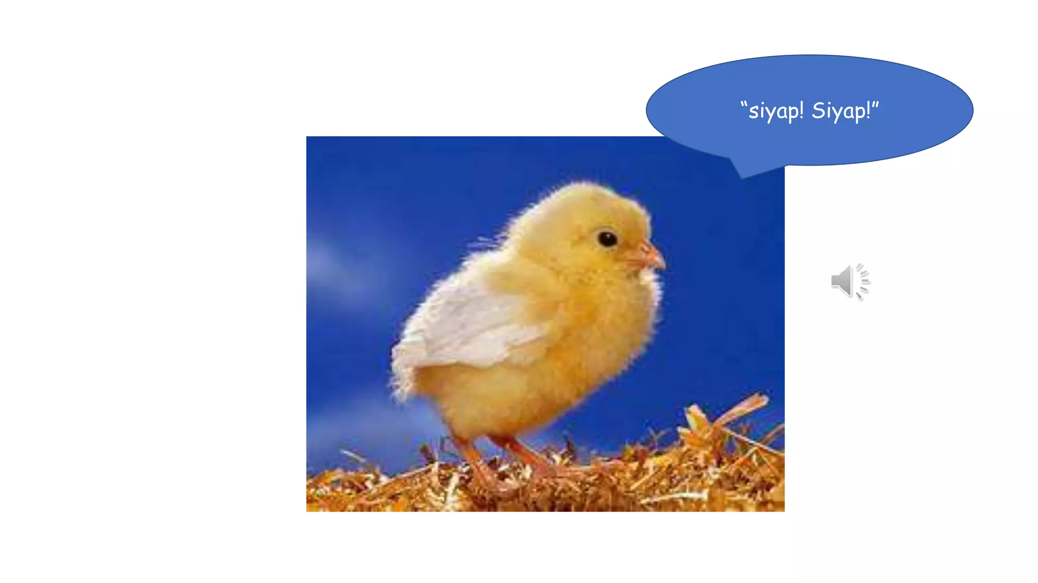 Ang Aking Mga Alaga.pptx