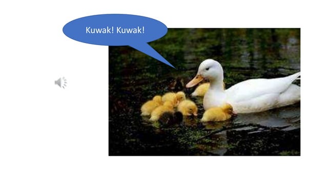 Ang Aking Mga Alaga.pptx