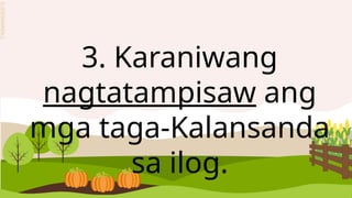 Ang Alaga by Barbara Kimenye Filipino 10 | PPTX