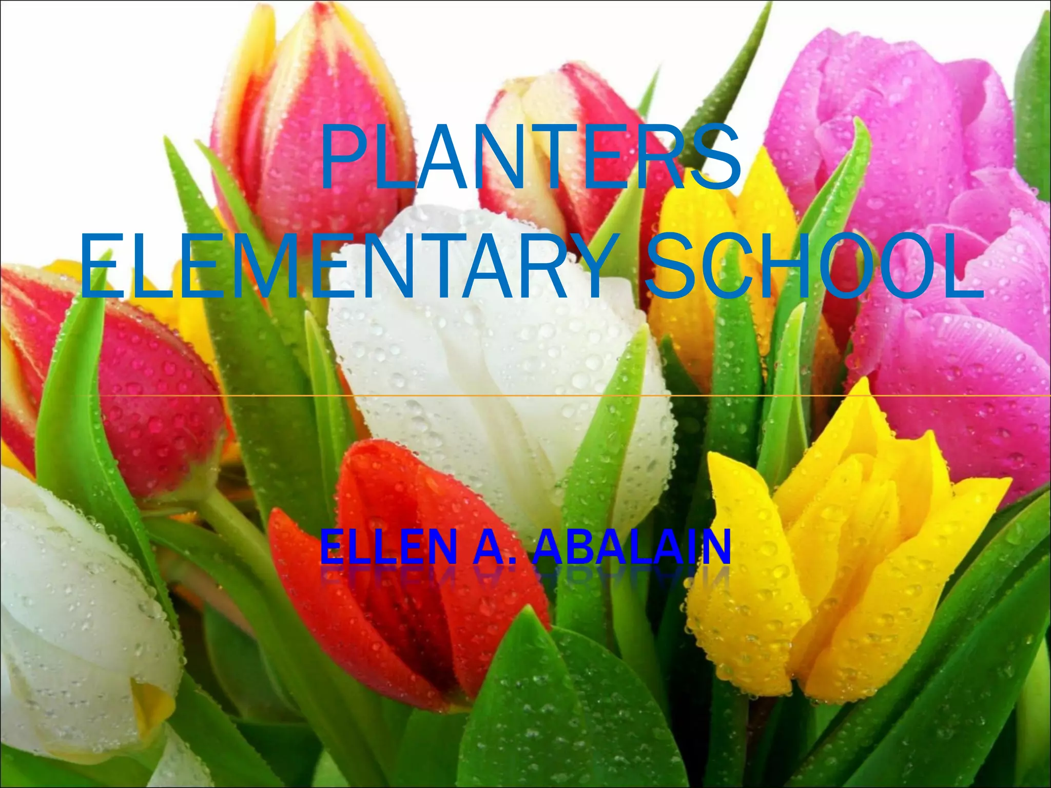 Ang ating mga ninuno | PPT