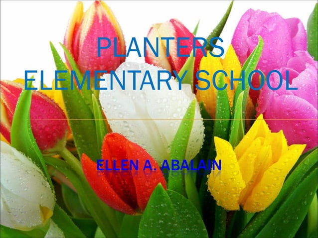 Ang ating mga ninuno | PPT