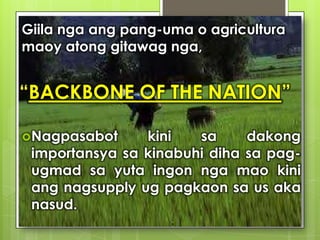 Ang banikanhong kinabuhi ug pagtoo | PPTX