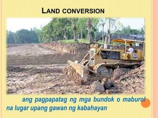 Ang Biodiversity ng Asya | PPTX