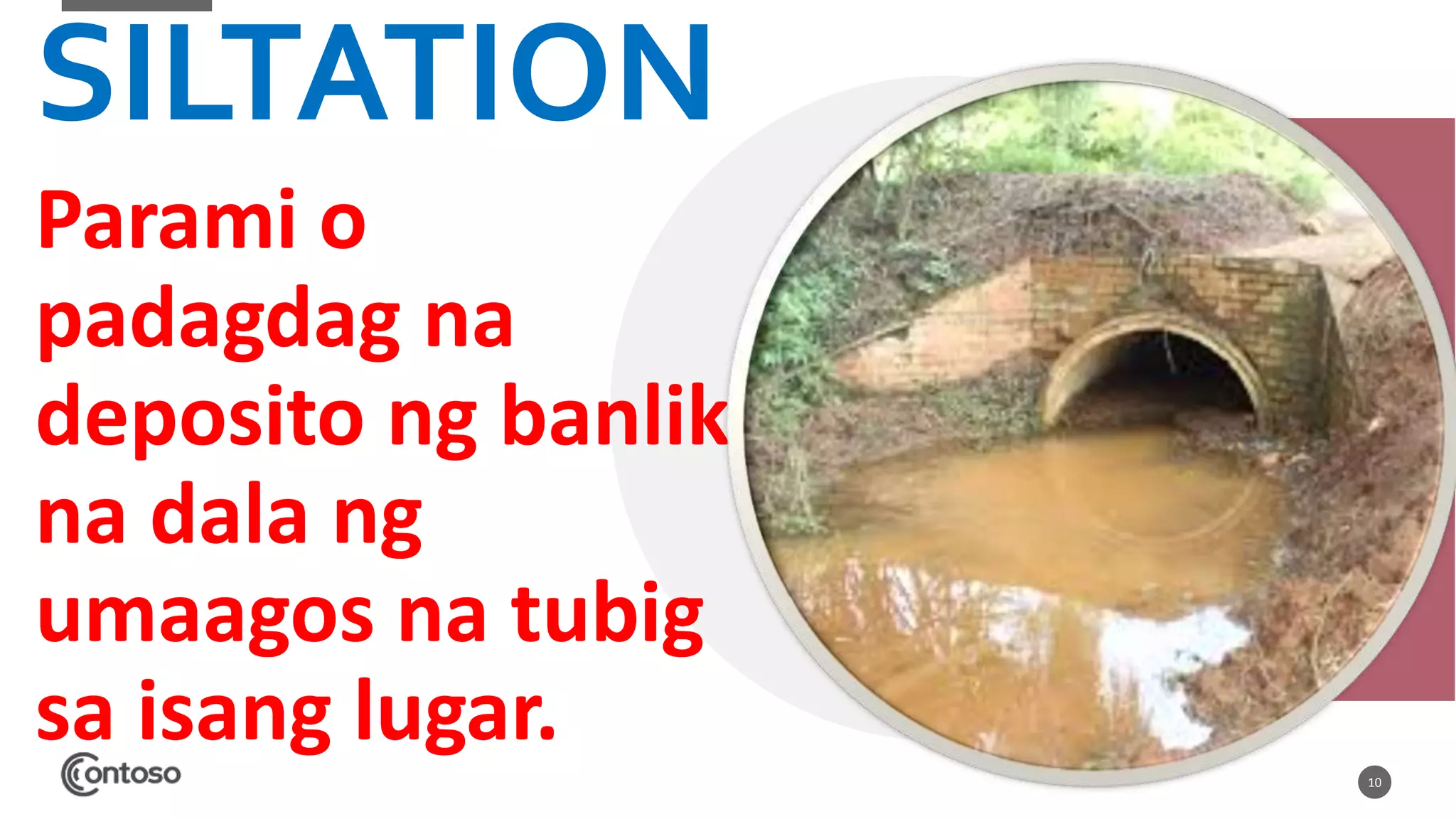 Ang biodiversity ng asya | PPTX