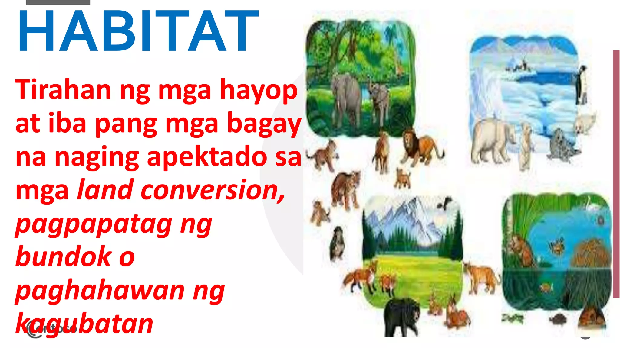 Ang biodiversity ng asya | PPTX