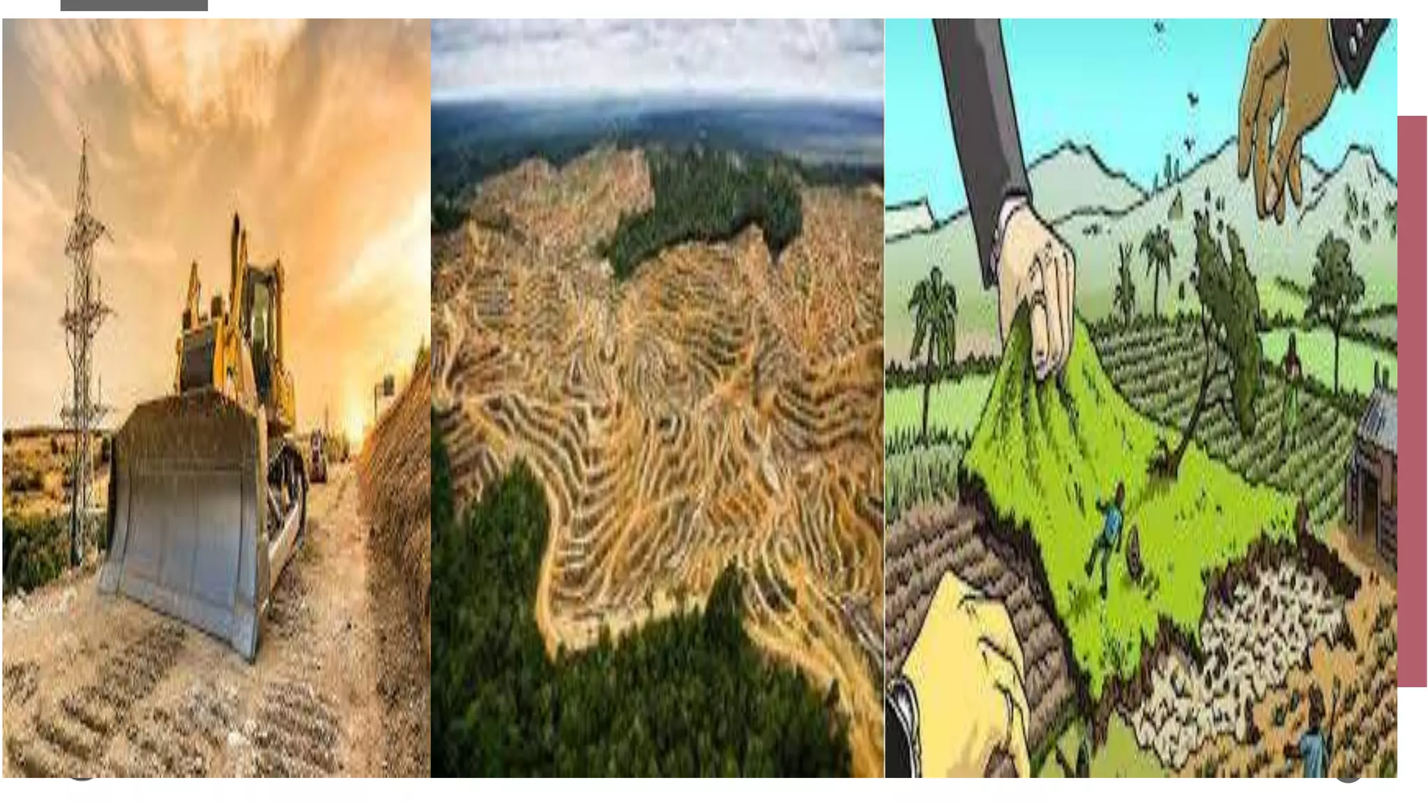 Ang biodiversity ng asya | PPTX