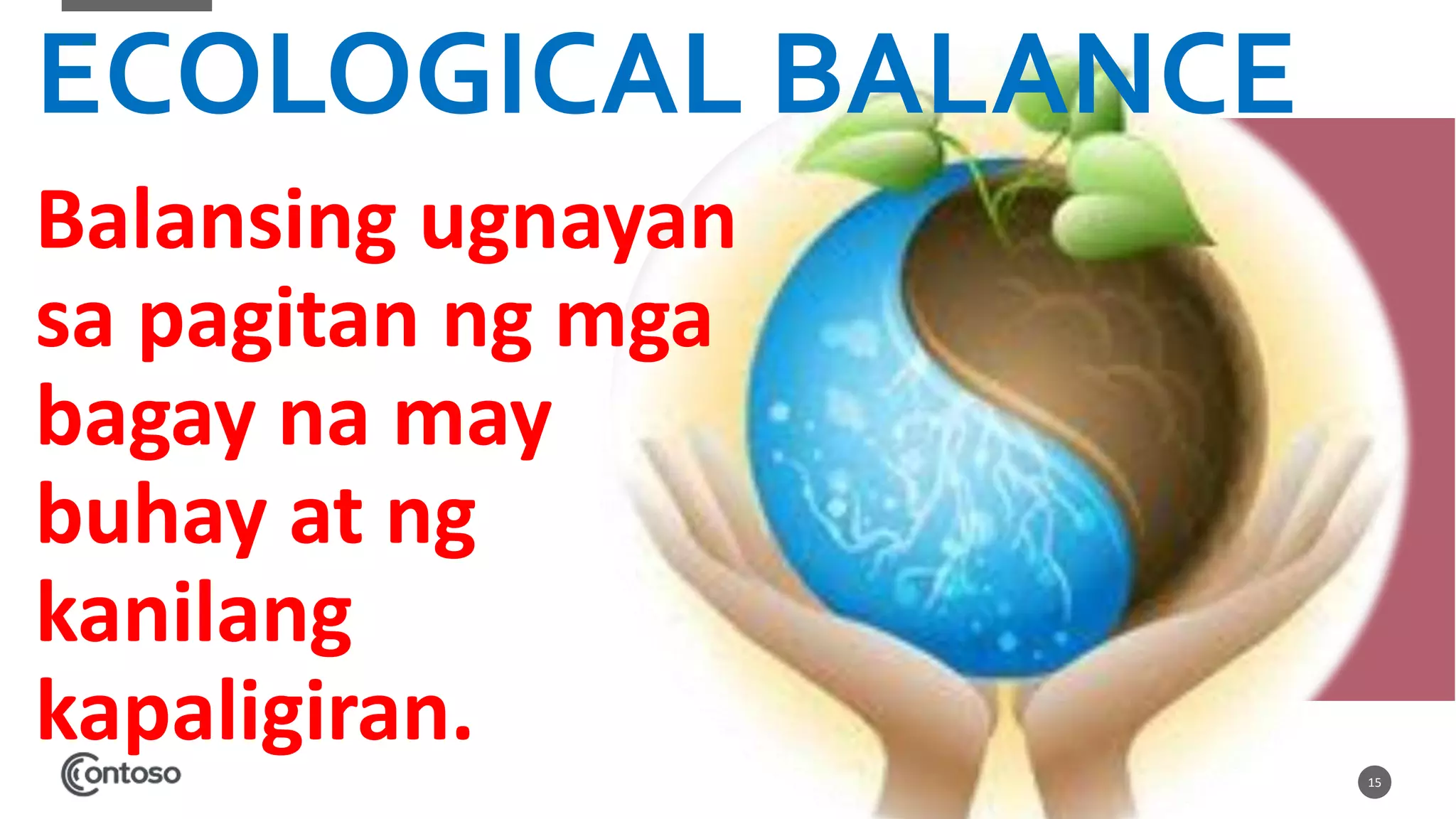Ang biodiversity ng asya | PPTX