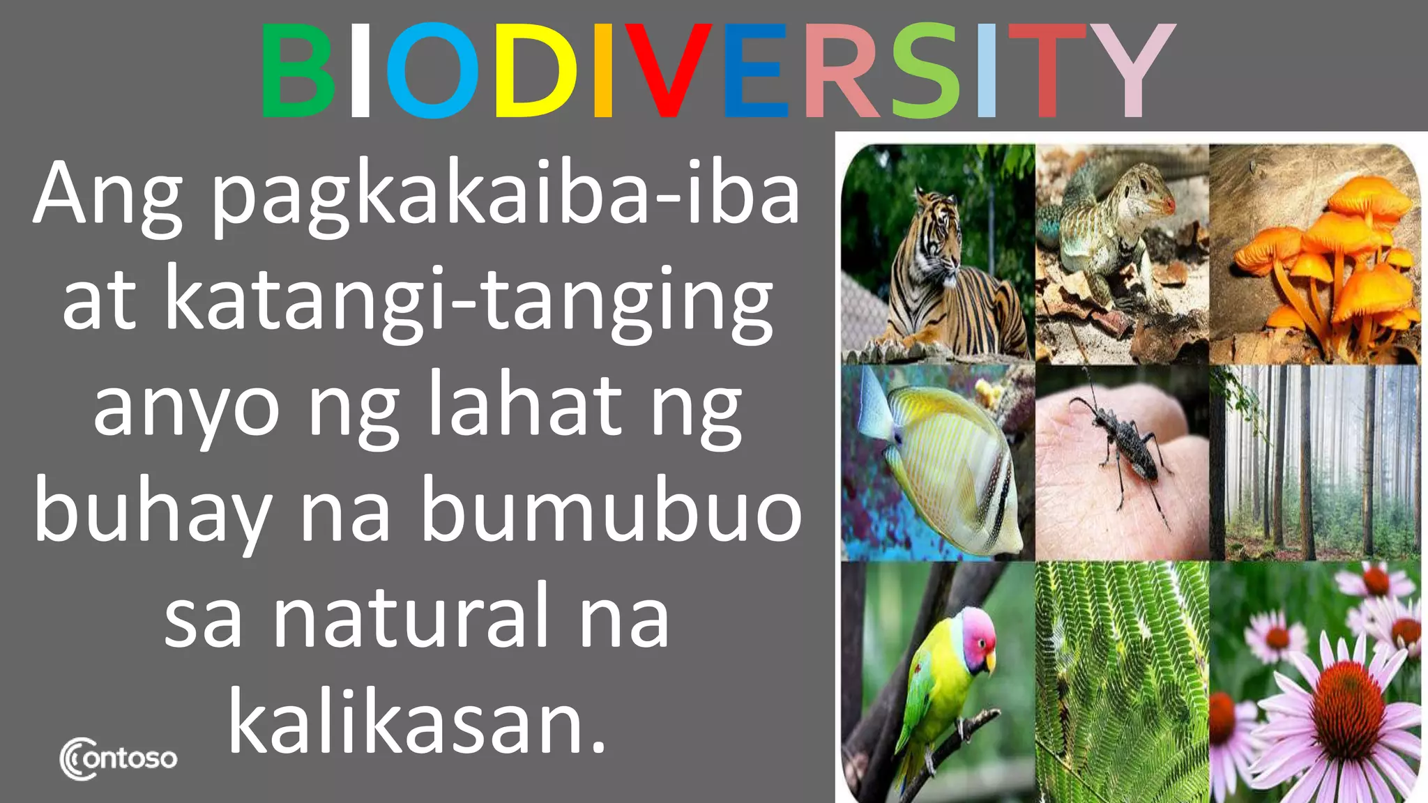 Ang biodiversity ng asya | PPTX