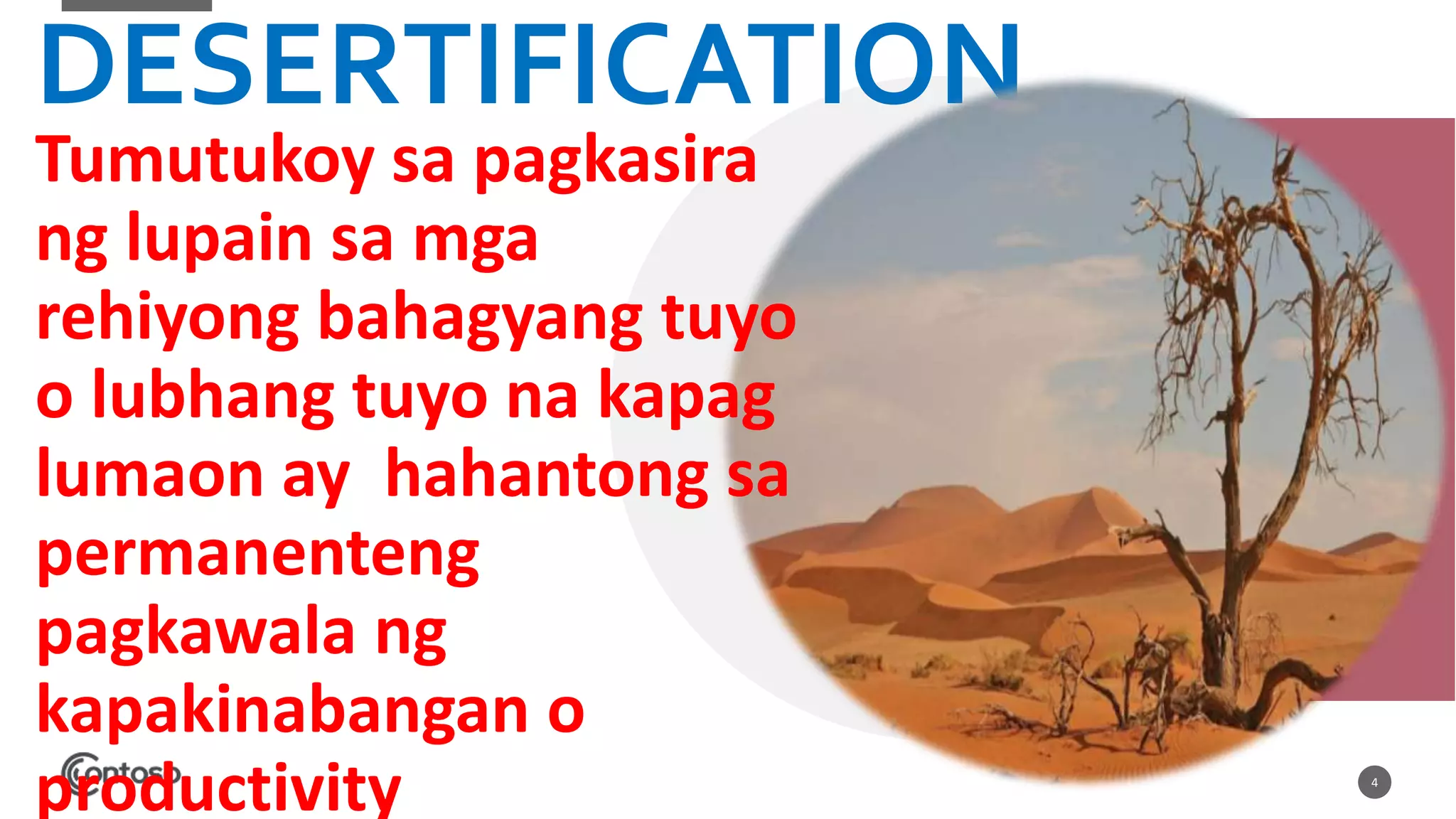 Ang biodiversity ng asya | PPTX