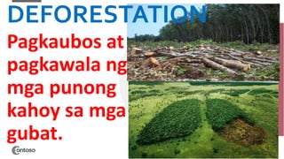 Ang biodiversity ng asya | PPTX