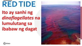 Ang biodiversity ng asya | PPTX