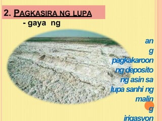 angbiodiversityngasya.pptx