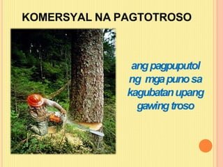 angbiodiversityngasya.pptx