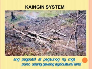 angbiodiversityngasya.pptx | Free Download