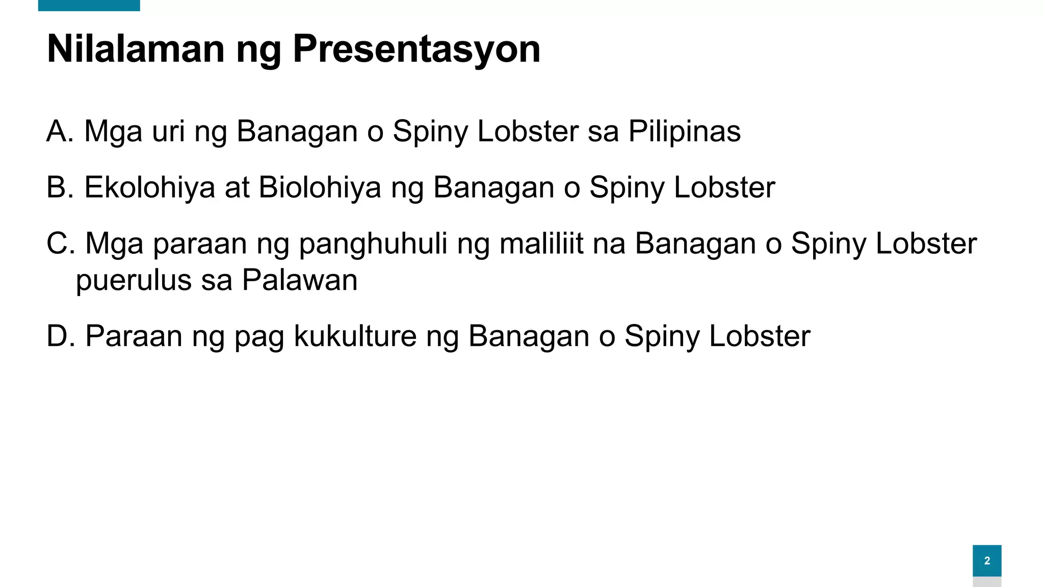 Ang Biolohiya, Ekolohiya at Pangisdaan ng mga Banagan.pptx