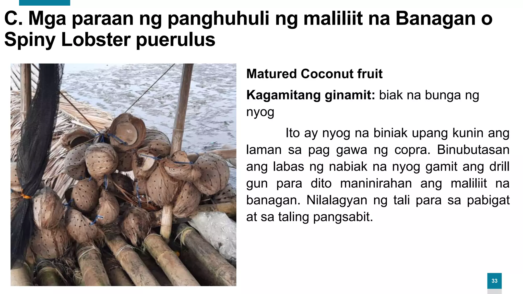 Ang Biolohiya, Ekolohiya at Pangisdaan ng mga Banagan.pptx