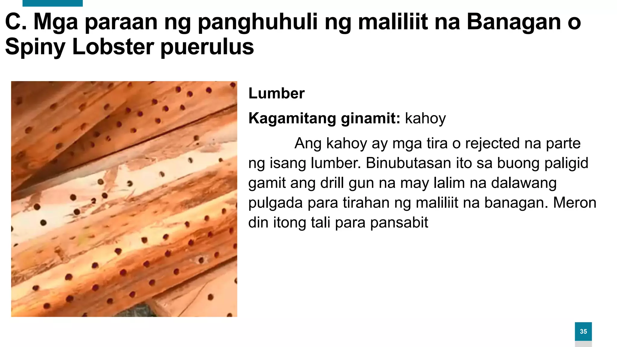 Ang Biolohiya, Ekolohiya at Pangisdaan ng mga Banagan.pptx