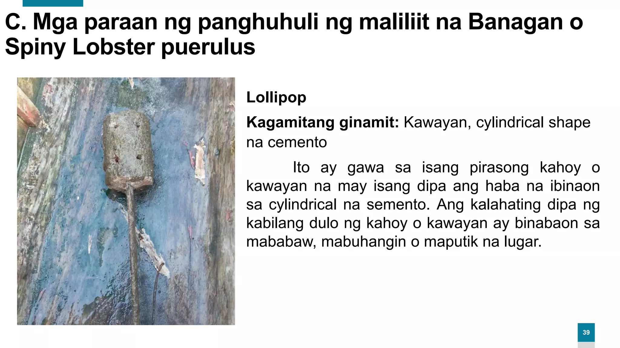 Ang Biolohiya, Ekolohiya at Pangisdaan ng mga Banagan.pptx