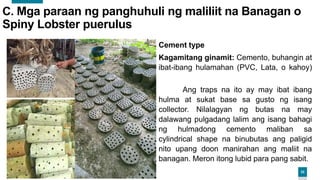 Ang Biolohiya, Ekolohiya at Pangisdaan ng mga Banagan.pptx