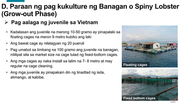 Ang Biolohiya, Ekolohiya at Pangisdaan ng mga Banagan.pptx