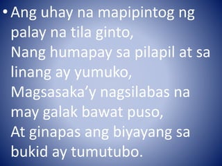 Ang buhay ng palay | PPTX