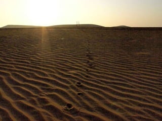 Ang Desyerto | PPT | Free Download