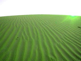 Ang Desyerto | PPT | Free Download