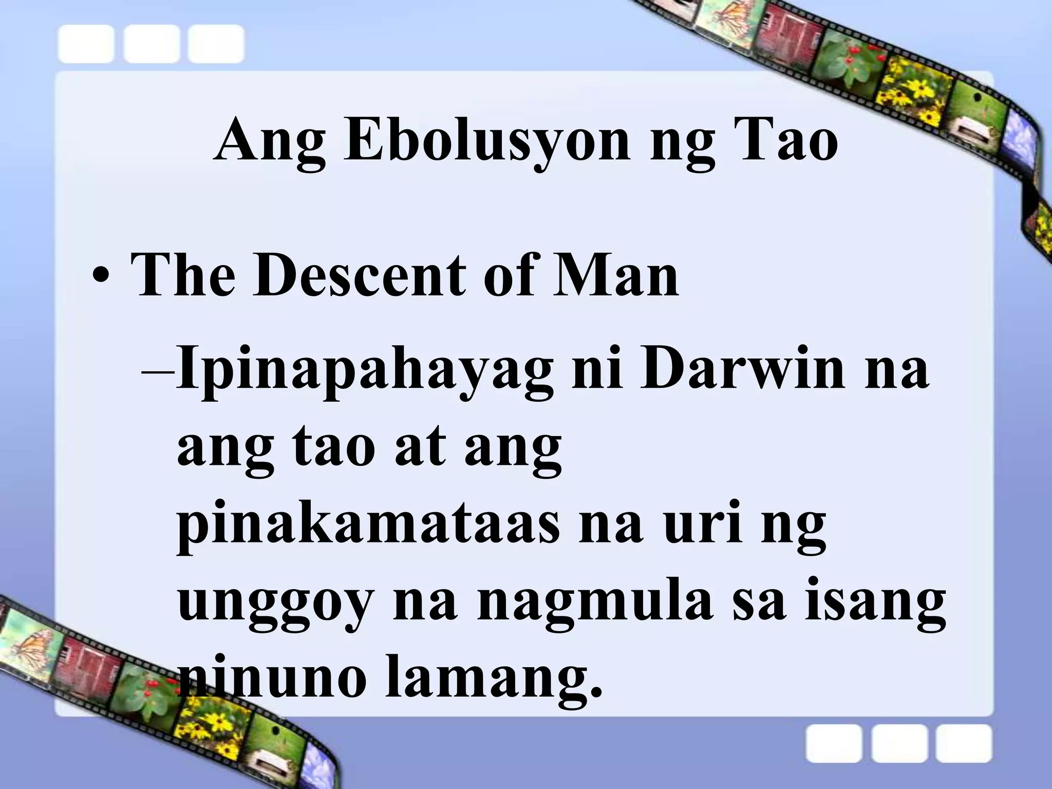 Ang Ebolusyon ng Tao | PPTX