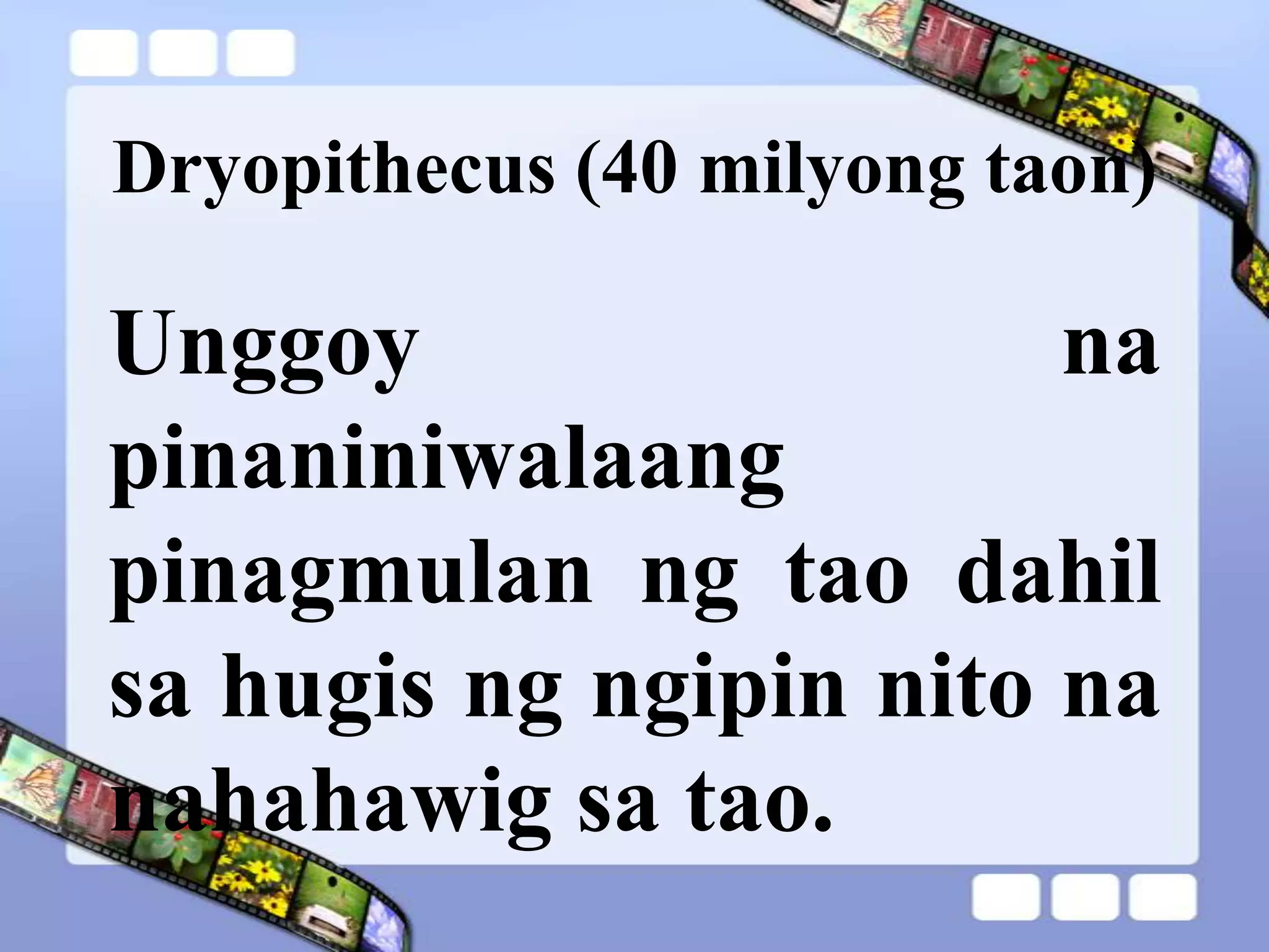 Ang Ebolusyon ng Tao | PPTX