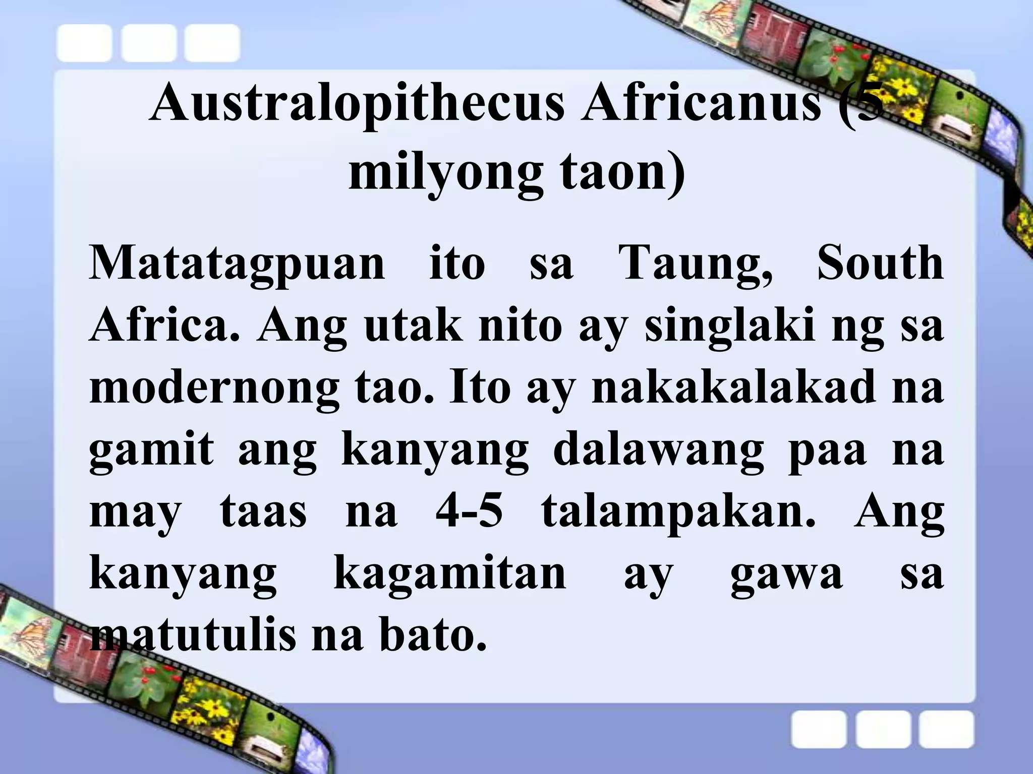 Ang Ebolusyon ng Tao | PPTX