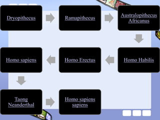 Ang Ebolusyon ng Tao | PPTX