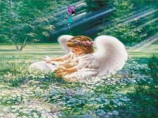 Angel Cliff Richard | PPS