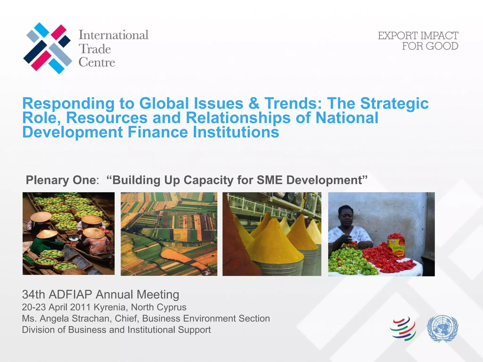 Building Up Capacity for SME Development | PPT | Small and Medium-sized ...