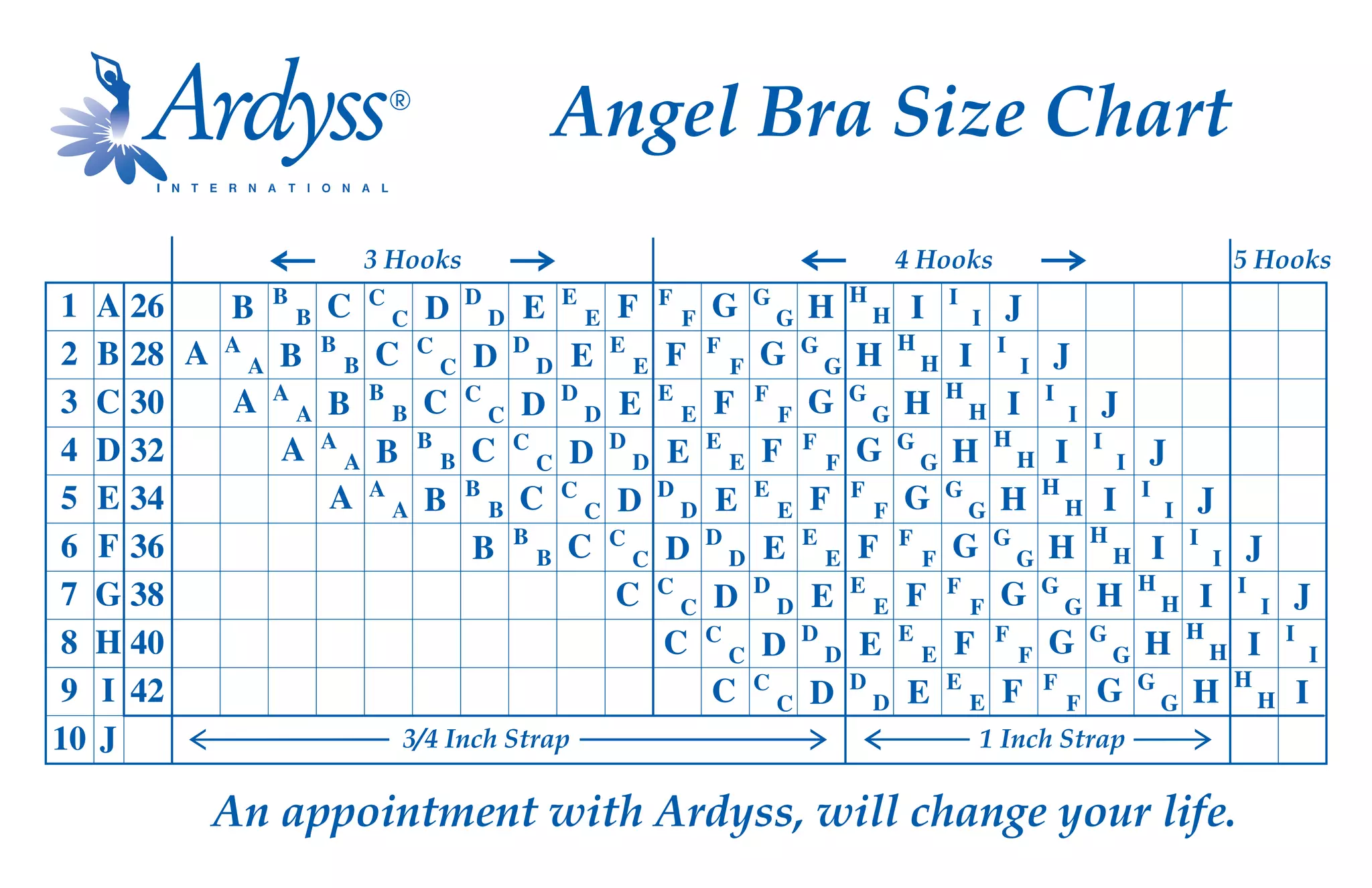 Angel Bra Size Chart | PDF