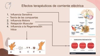 Electroterapia para estudiantes en carrera de fisioterapia | PPTX