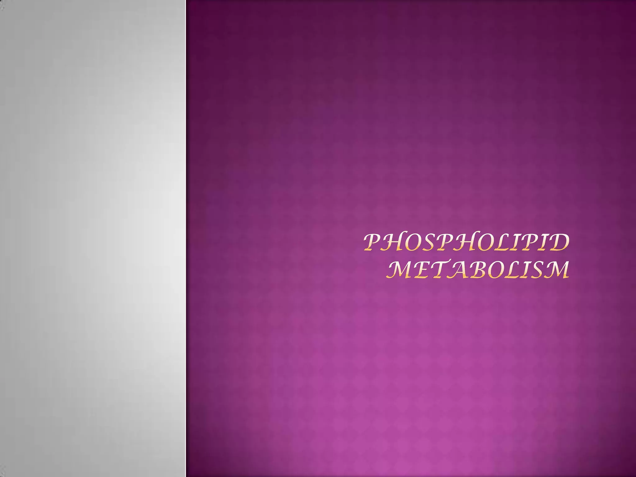 PHOSPHOLIPID METABOLISM & GLYCOLIPID METABOLISM | PPTX