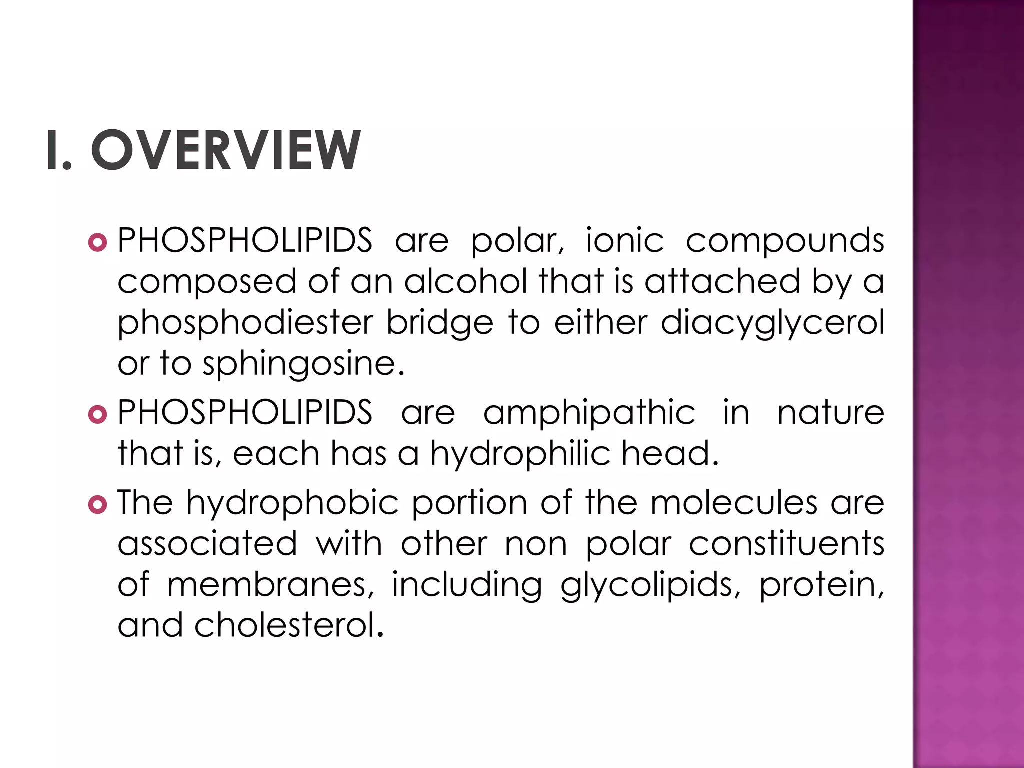 PHOSPHOLIPID METABOLISM & GLYCOLIPID METABOLISM | PPTX
