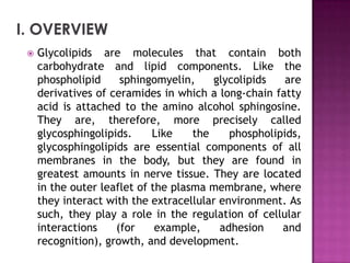 PHOSPHOLIPID METABOLISM & GLYCOLIPID METABOLISM | PPTX