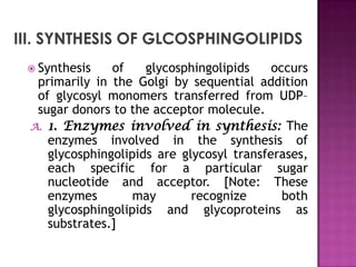 PHOSPHOLIPID METABOLISM & GLYCOLIPID METABOLISM | PPTX