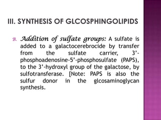 PHOSPHOLIPID METABOLISM & GLYCOLIPID METABOLISM | PPTX