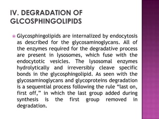 PHOSPHOLIPID METABOLISM & GLYCOLIPID METABOLISM | PPTX