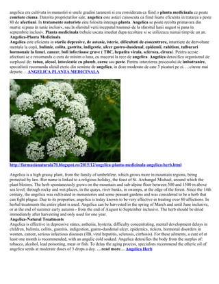 Angelica planta medicinala | PDF