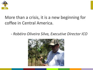 Coffee Rust: Impacts and Actions | PPT