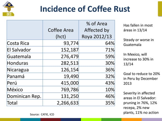 Coffee Rust: Impacts and Actions | PPT