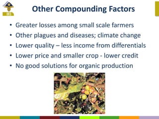 Coffee Rust: Impacts and Actions | PPT