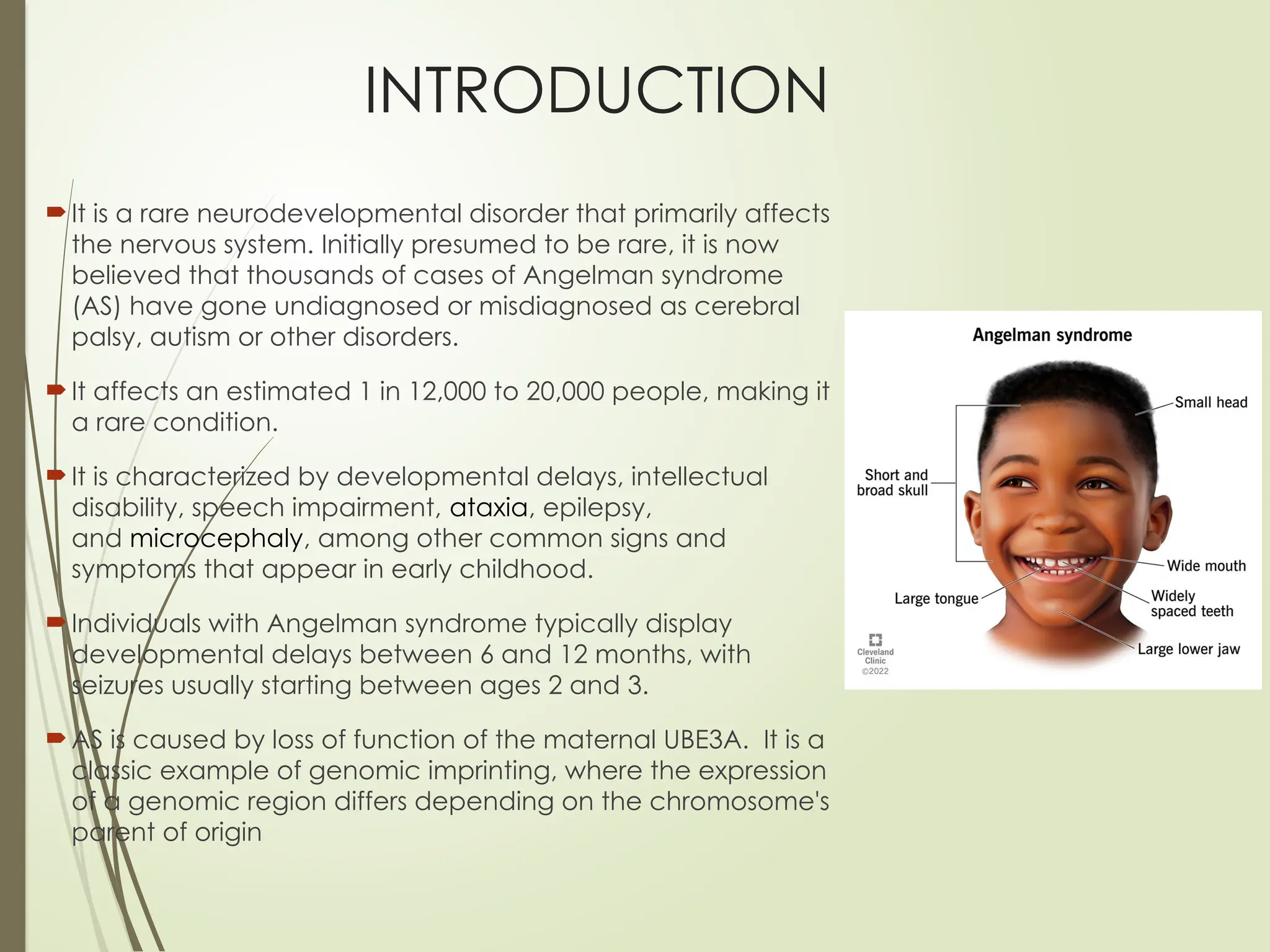 ANGELMAN SYNDROME - introduction and summary.pptx