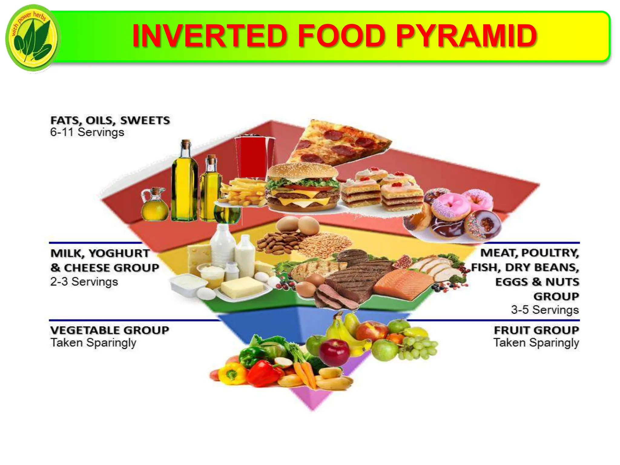 Angelo First Vita Plus Product Presentation | PDF